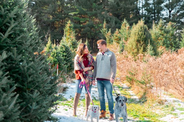 What to Wear to a Tree Farm Photoshoot | Outfit Inspo - Kelsie Kristine